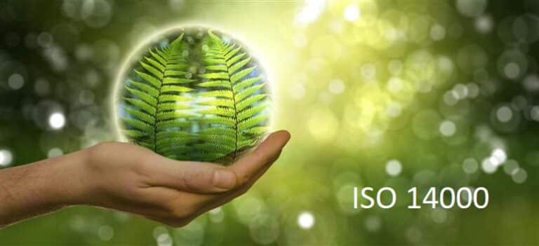 ISO 14000: o que é, para que serve, requisitos - Getwet